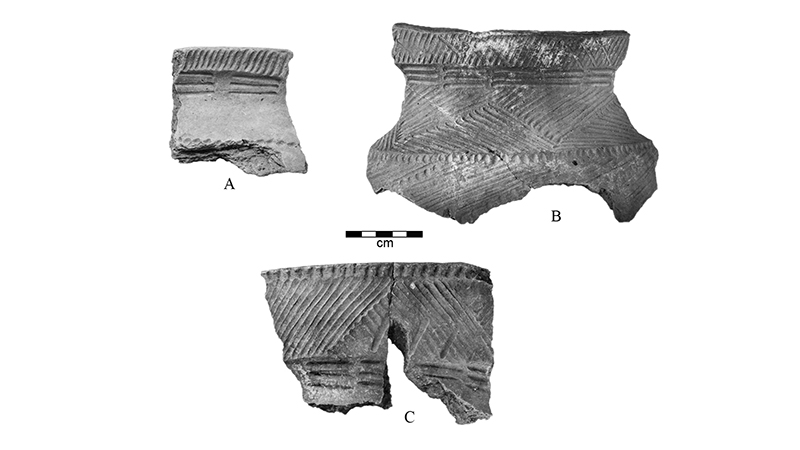 Canadian Archaeological Association / Association canadienne d'archéologie